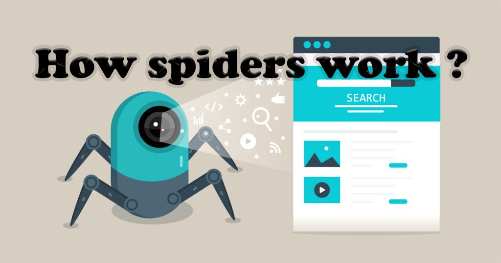 The concept of spiders in SEO