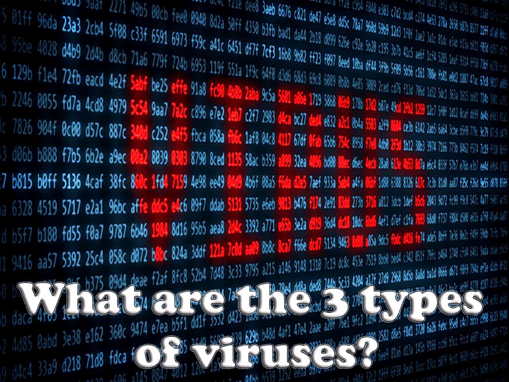 What Are The 3 Types Of Viruses 
