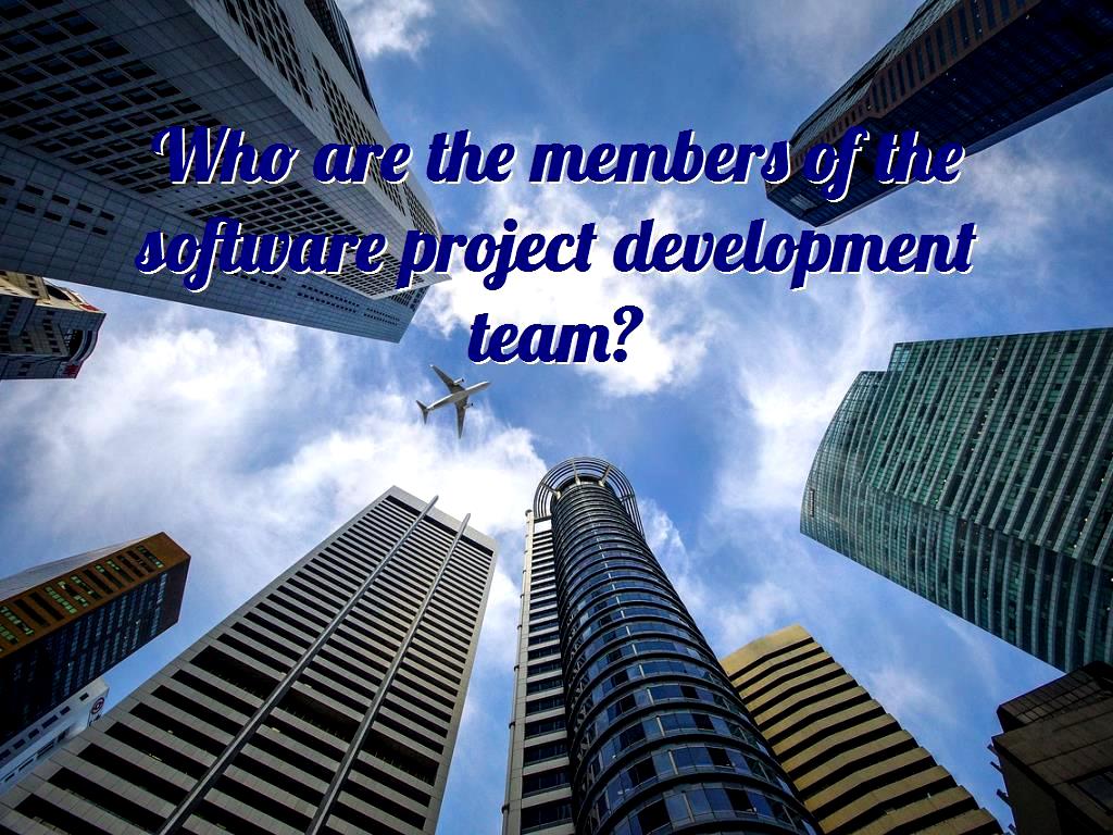 Who are the members of the software project development team?