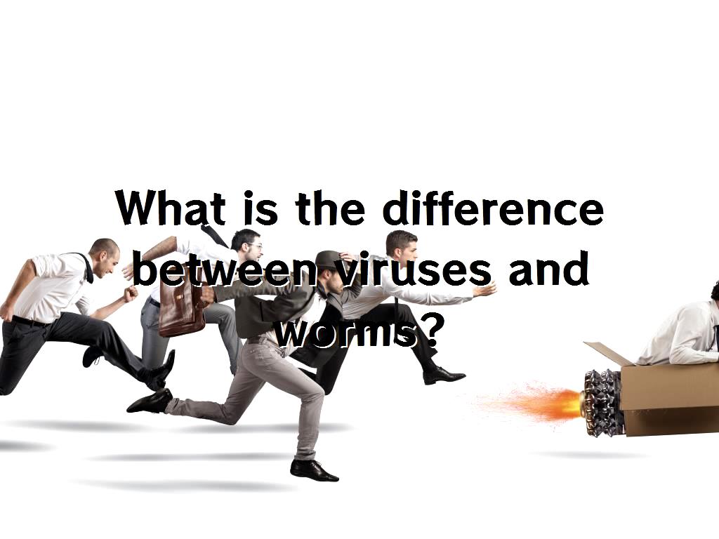 What is the difference between viruses and worms?