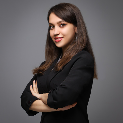 Web Analysis, Web Design, Software programming, Mobile App development, DotNek , Washington ...